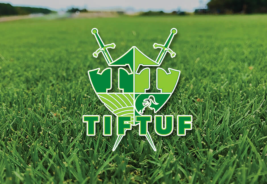 TifTuf Bermuda Turf | High Wear Tolerance Lawn